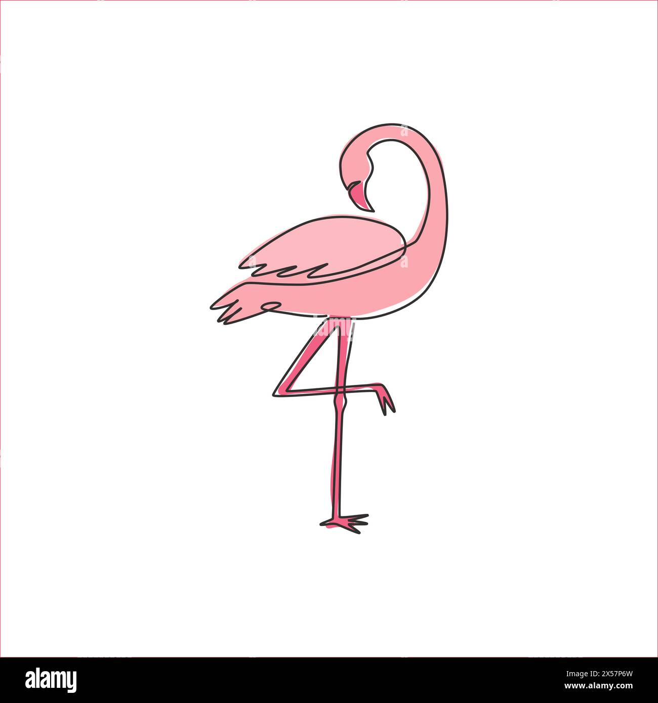 Flamingo line drawing vector vectors hi-res stock photography and ...