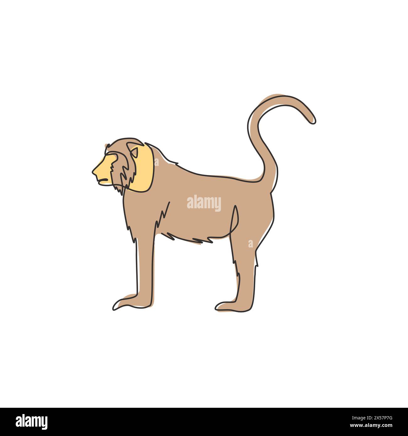 Single continuous line drawing of walking baboon for national zoo logo ...