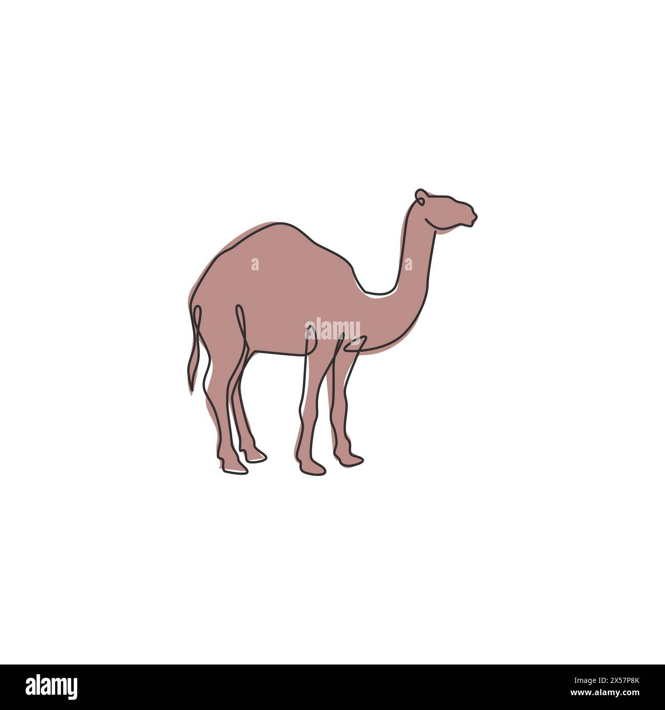 Camel icon modern line Stock Vector Images - Alamy