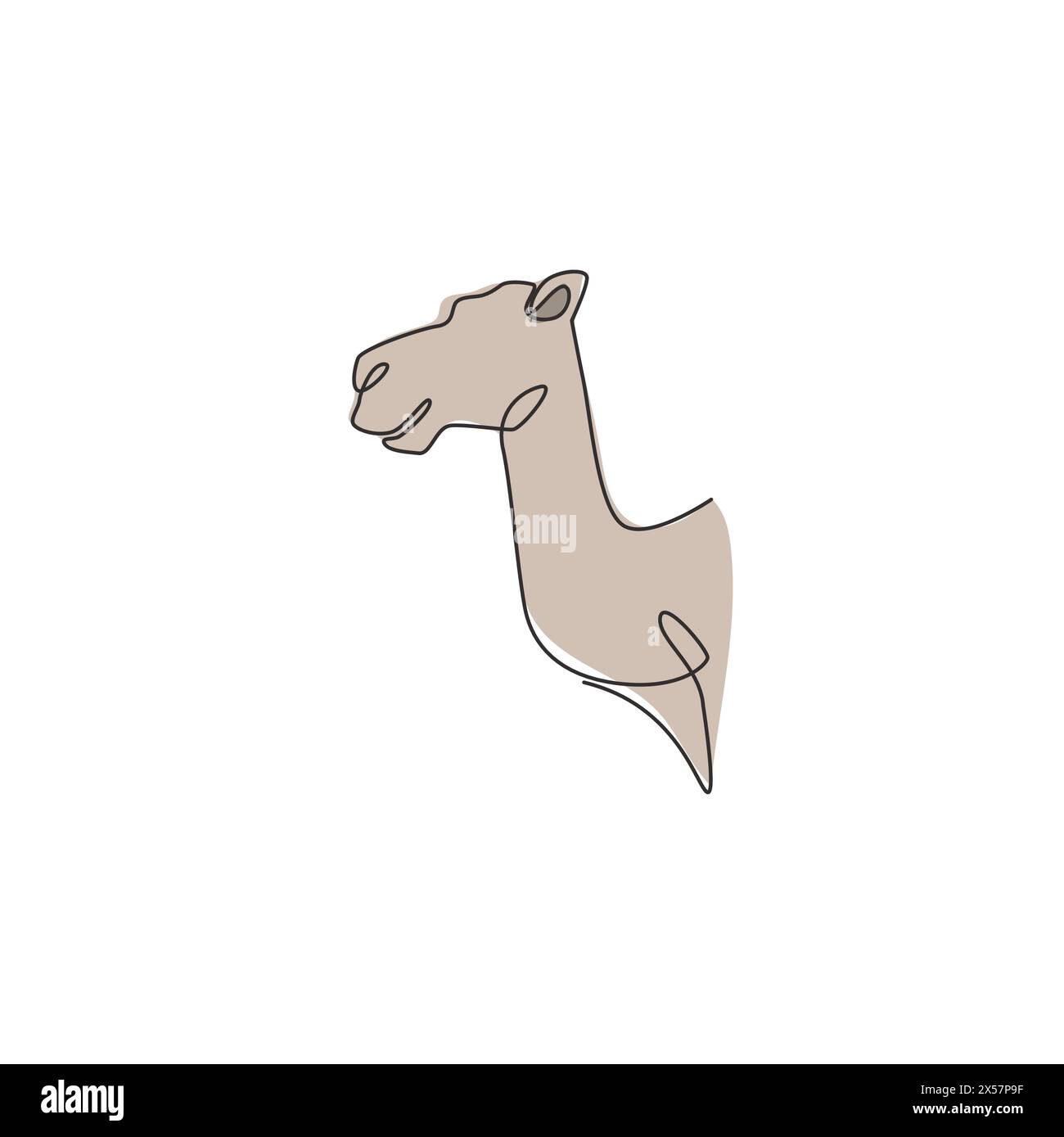 Single continuous line drawing of head desert Arabic camel for logo ...