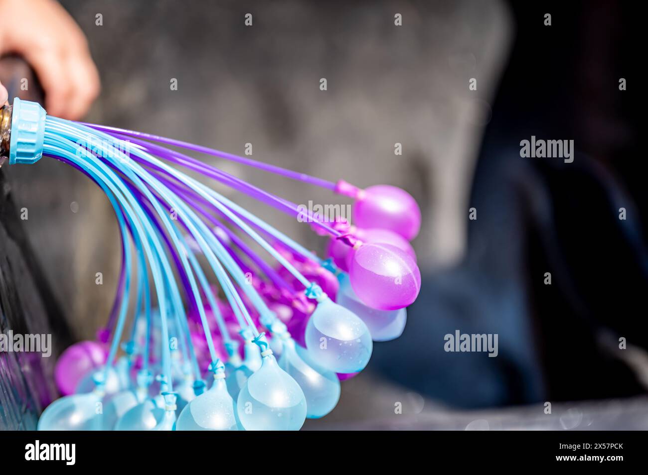 Rapid filling self sealing water balloons being inflated with a hose ...