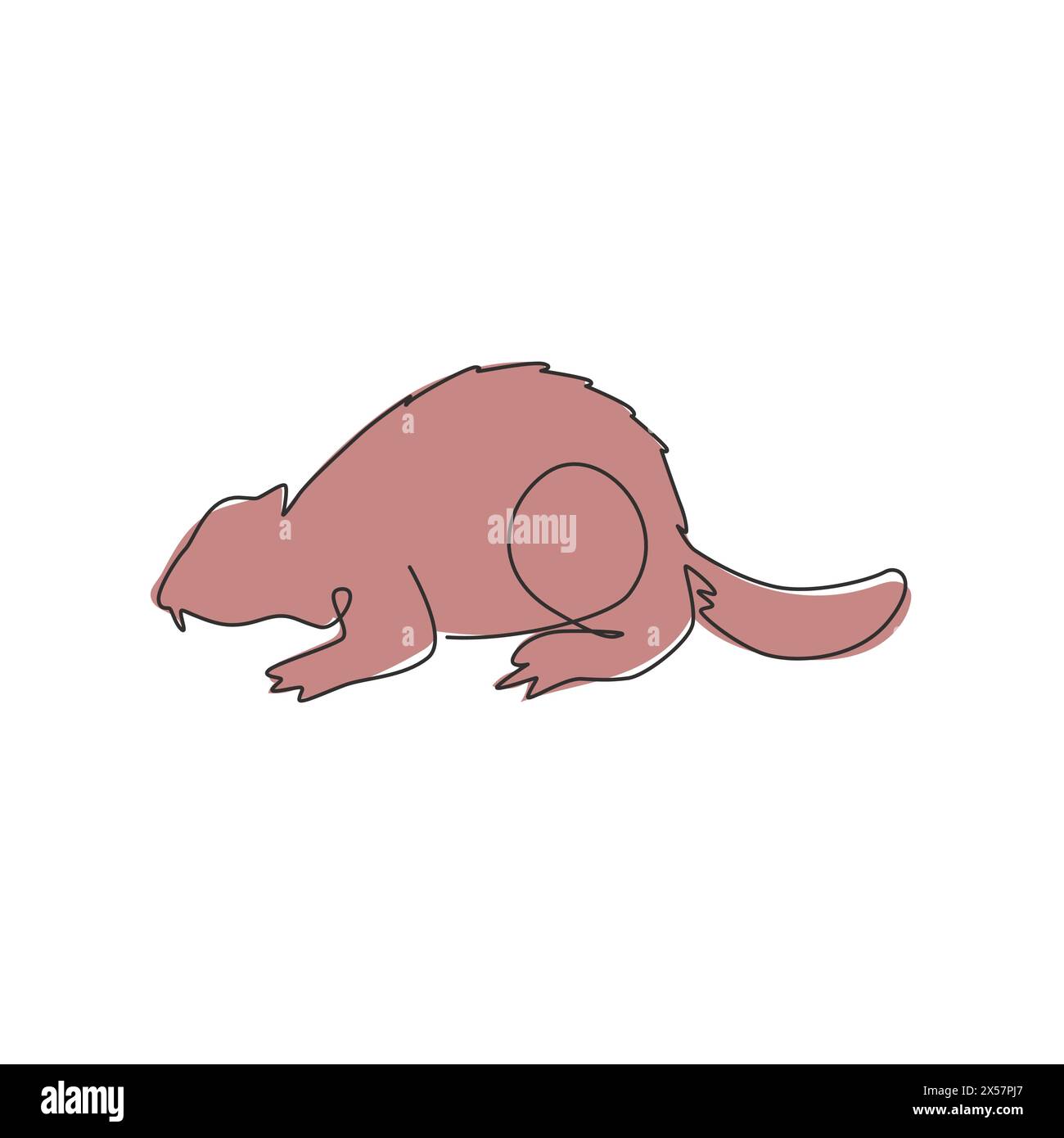 Single continuous line drawing of adorable river beaver for logo ...