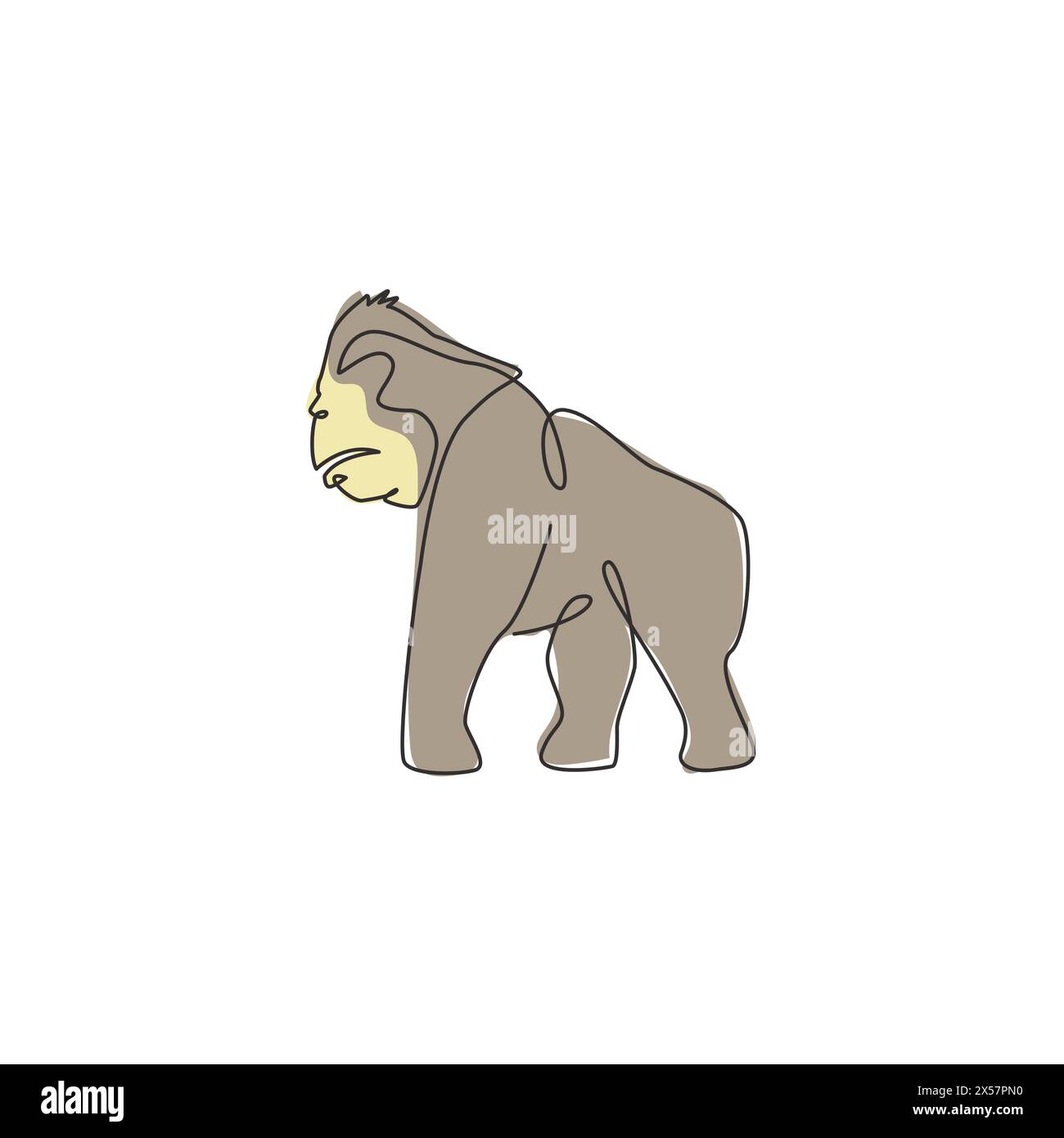 Conservation forest Cut Out Stock Images & Pictures - Alamy