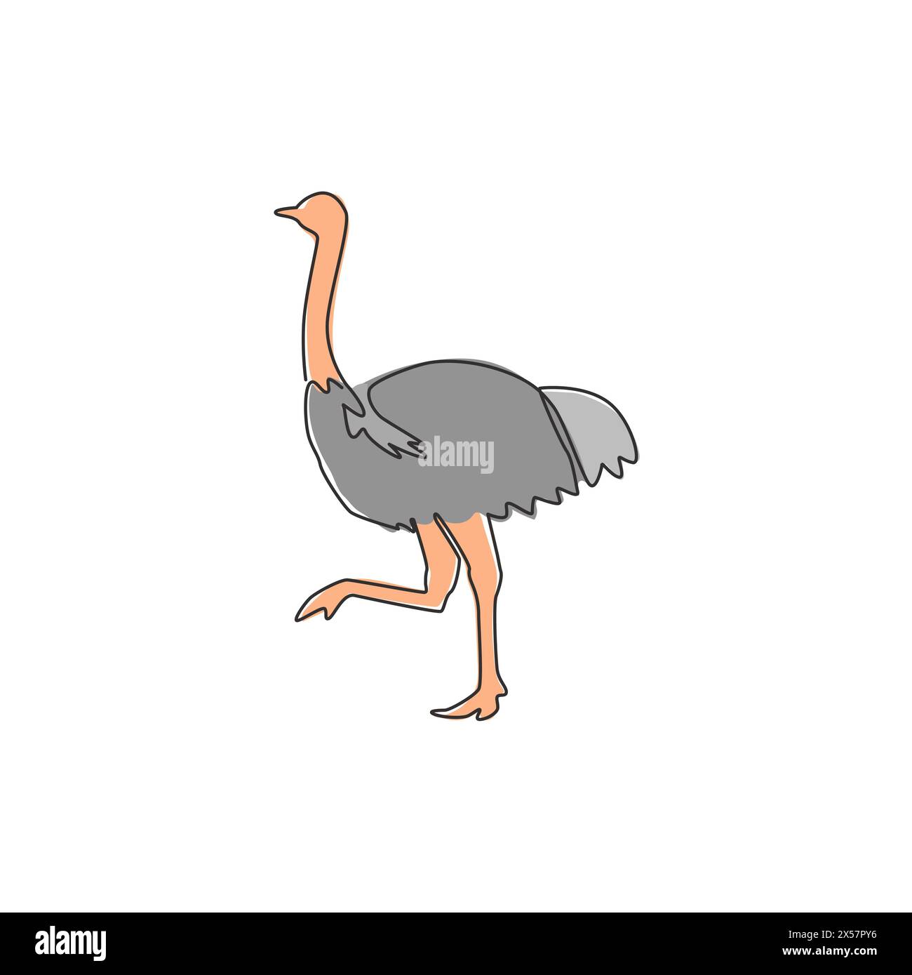 One single line drawing of giant running ostrich for logo identity ...