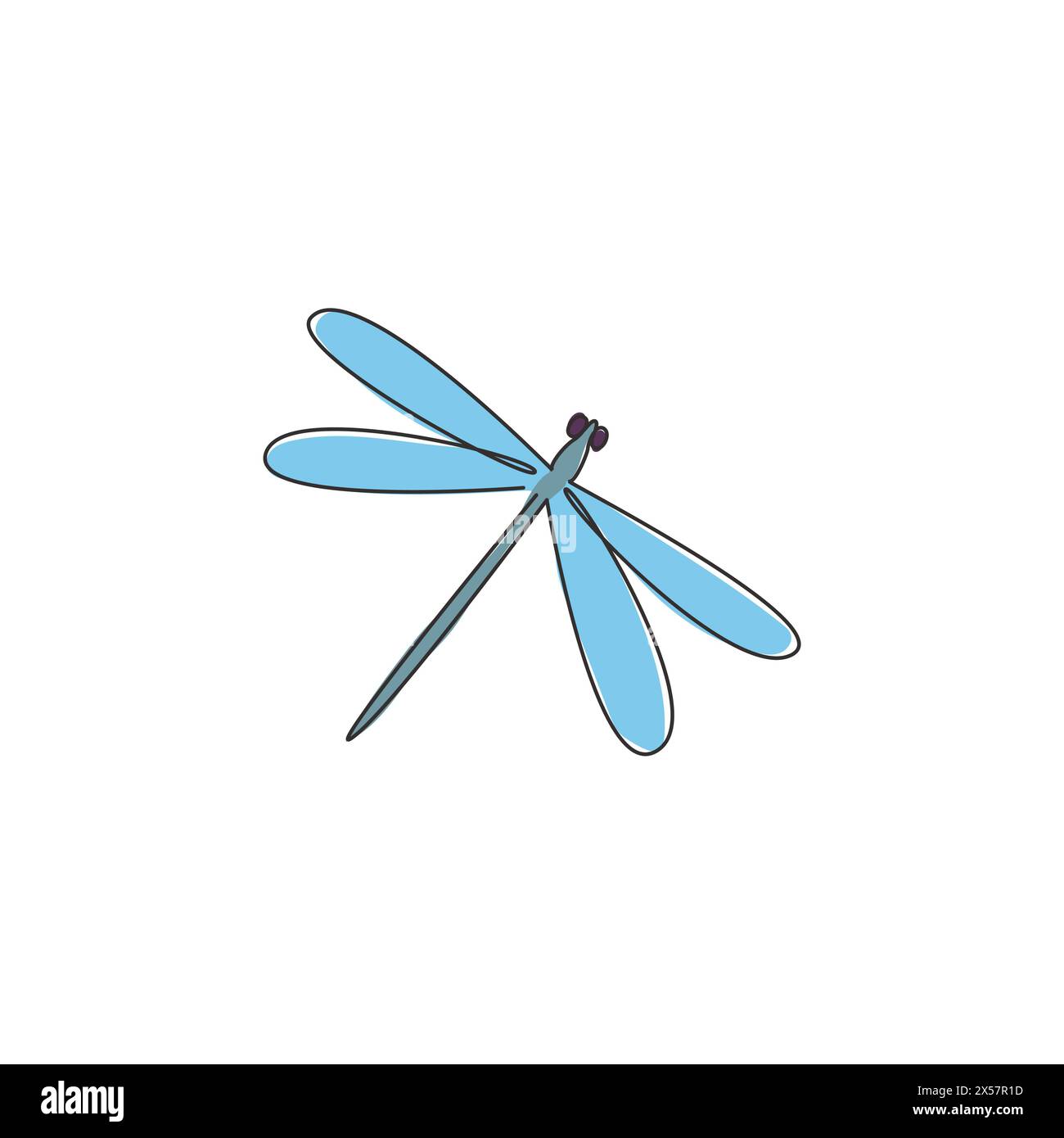 Cute Dragonfly Drawing