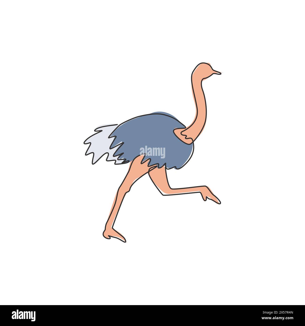 One single line drawing of giant running ostrich for logo identity ...