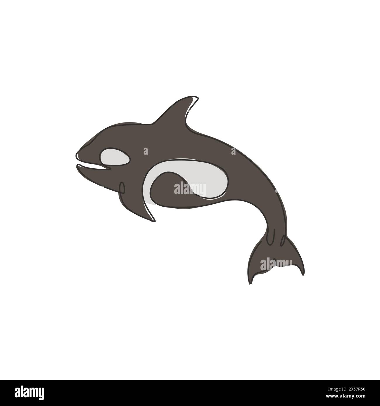One single line drawing of big cute orca for company logo identity ...