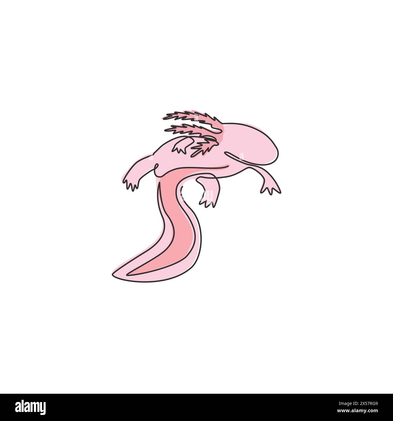 Single continuous line drawing of beauty axolotl for company logo ...