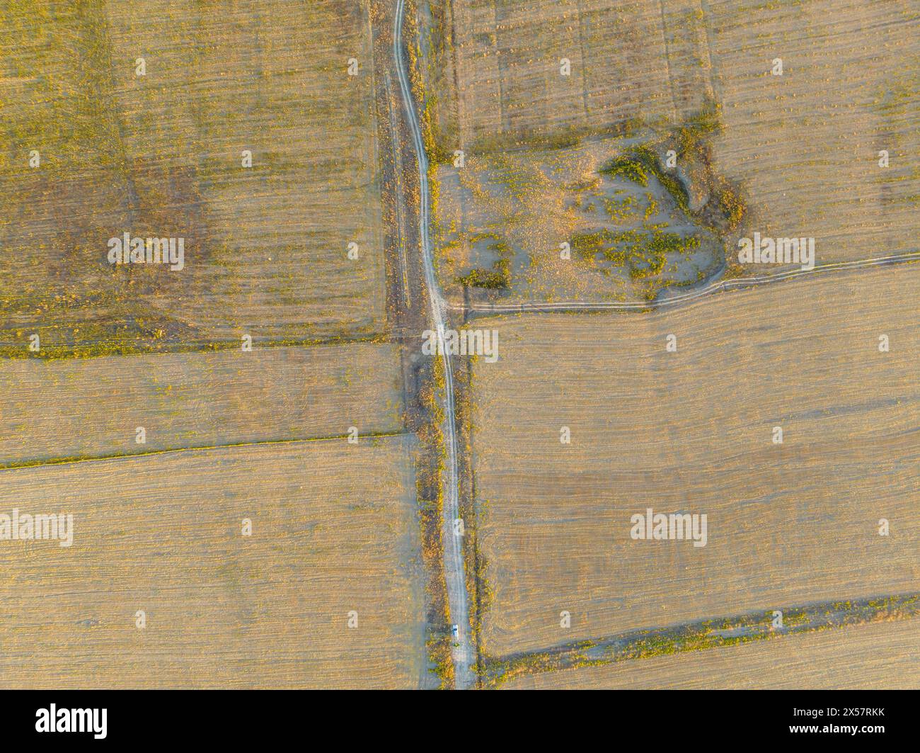 Field path between harvested fields, aerial view, Toktogul, Kyrgyzstan ...