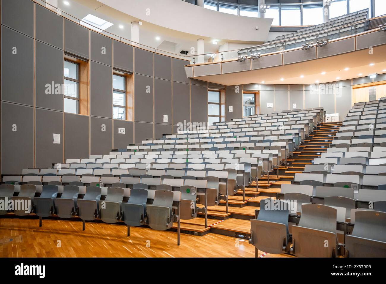 Rows of seats in an empty lecture theatre, interior photo, Department ...