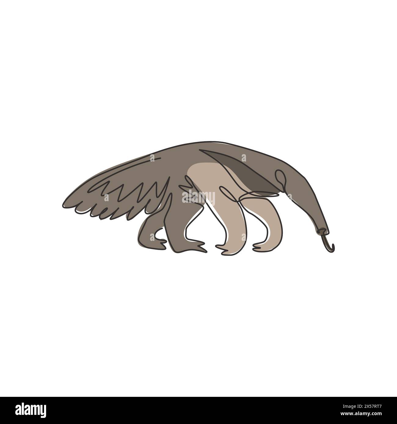 One continuous line drawing of giant anteater for logo identity ...