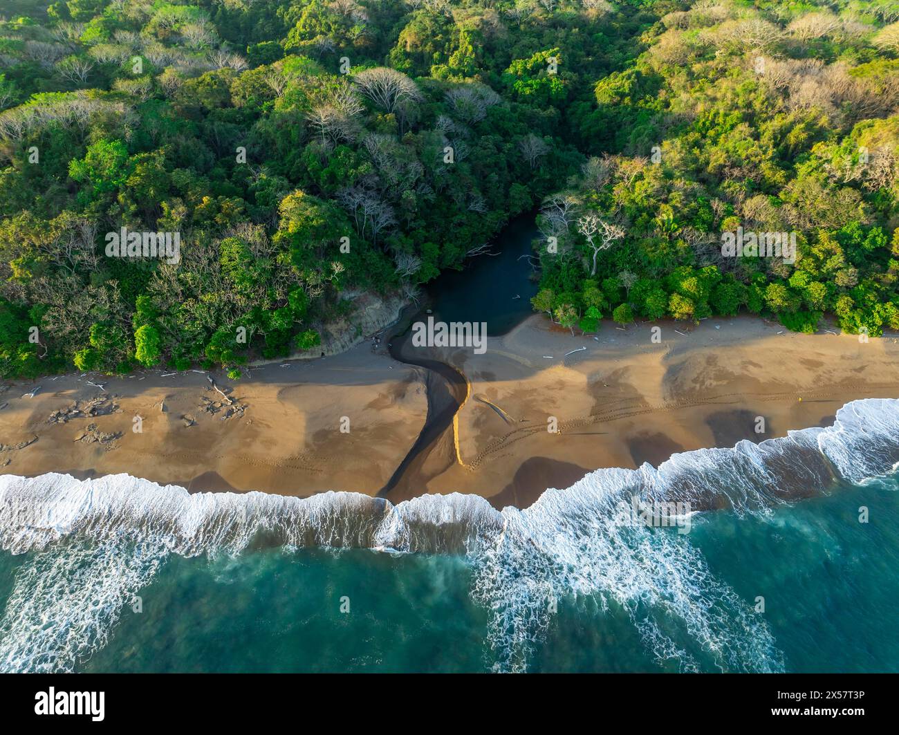Aerial view, top-down, rainforest, sandy beach and coast with waves ...