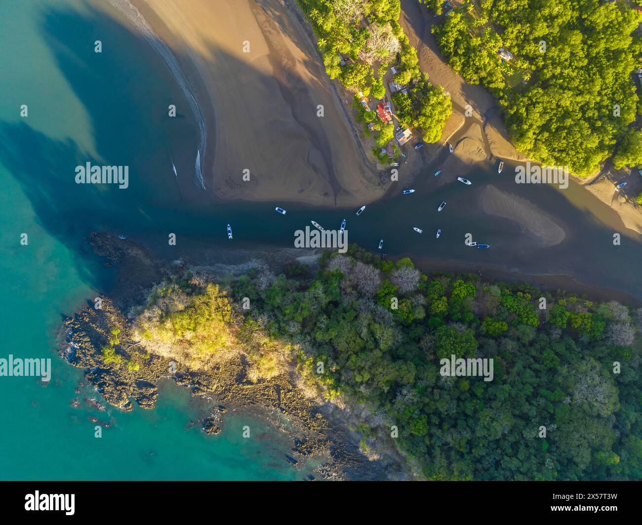 Oblique aerial view of a beach with boats and neighbouring forested ...