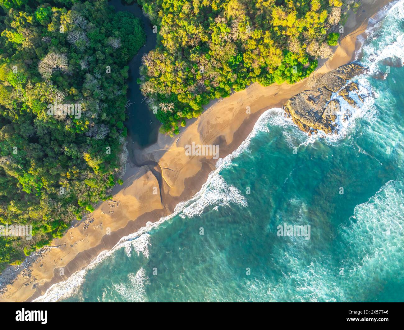Aerial view, top-down, rainforest, sandy beach and coast with waves ...