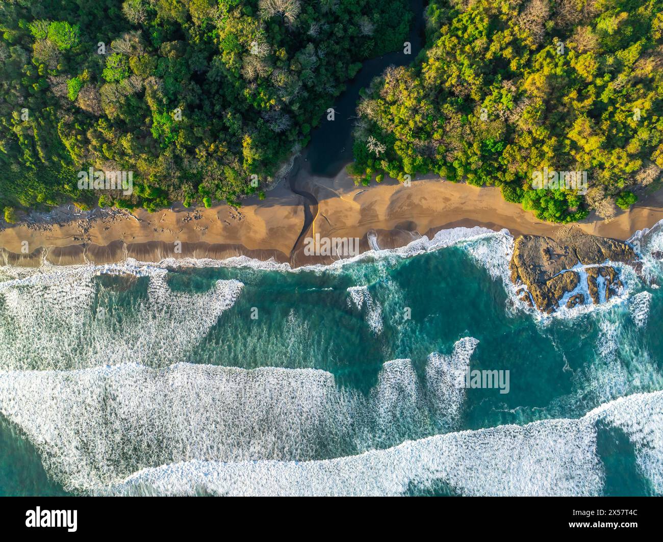 Aerial view, top-down, rainforest, sandy beach and coast with waves ...