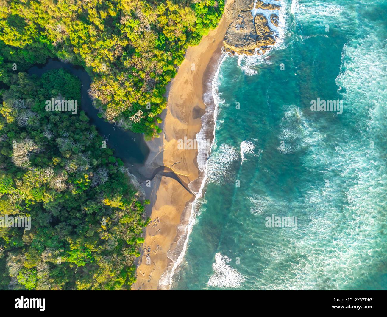 Aerial view, top-down, rainforest, sandy beach and coast with waves ...
