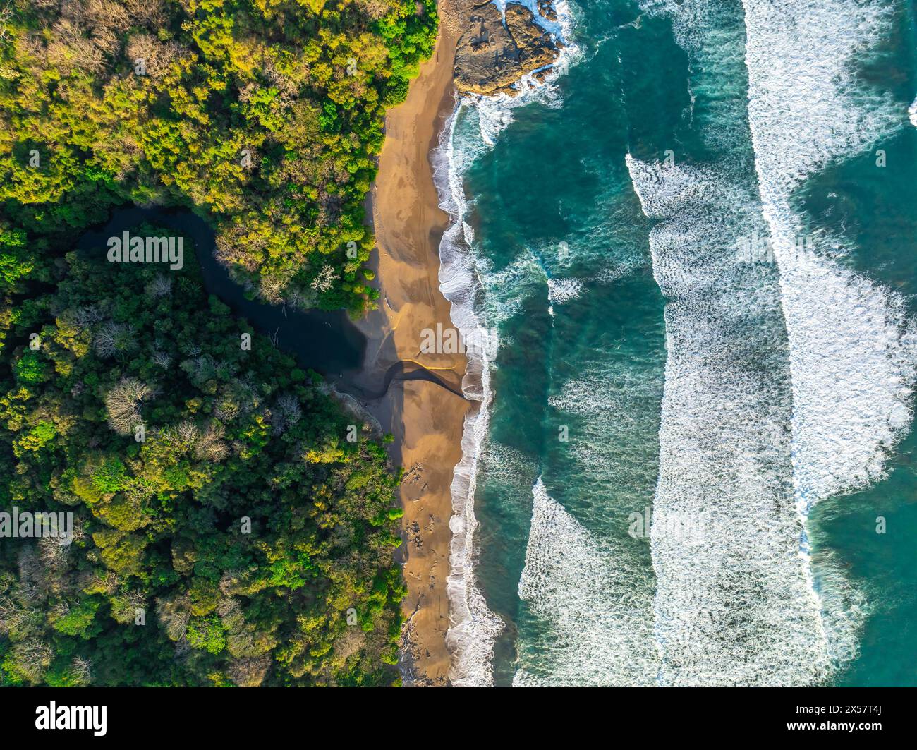 Aerial view, top-down, rainforest, sandy beach and coast with waves ...