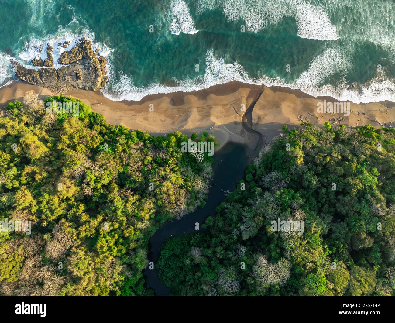 Aerial view, top-down, rainforest, sandy beach and coast with waves ...