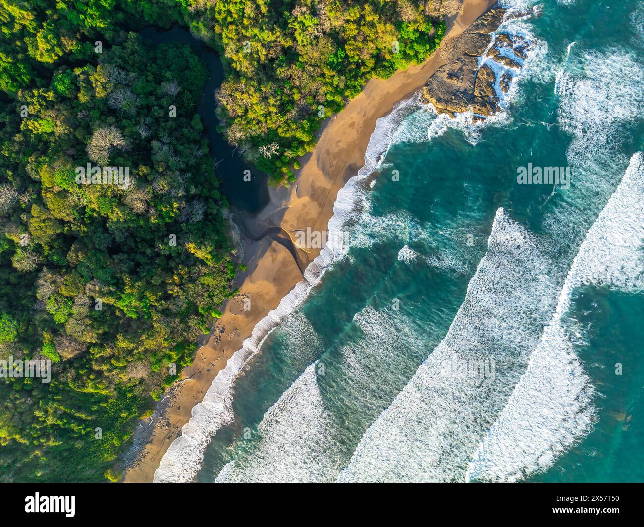 Aerial view, top-down, rainforest, sandy beach and coast with waves ...