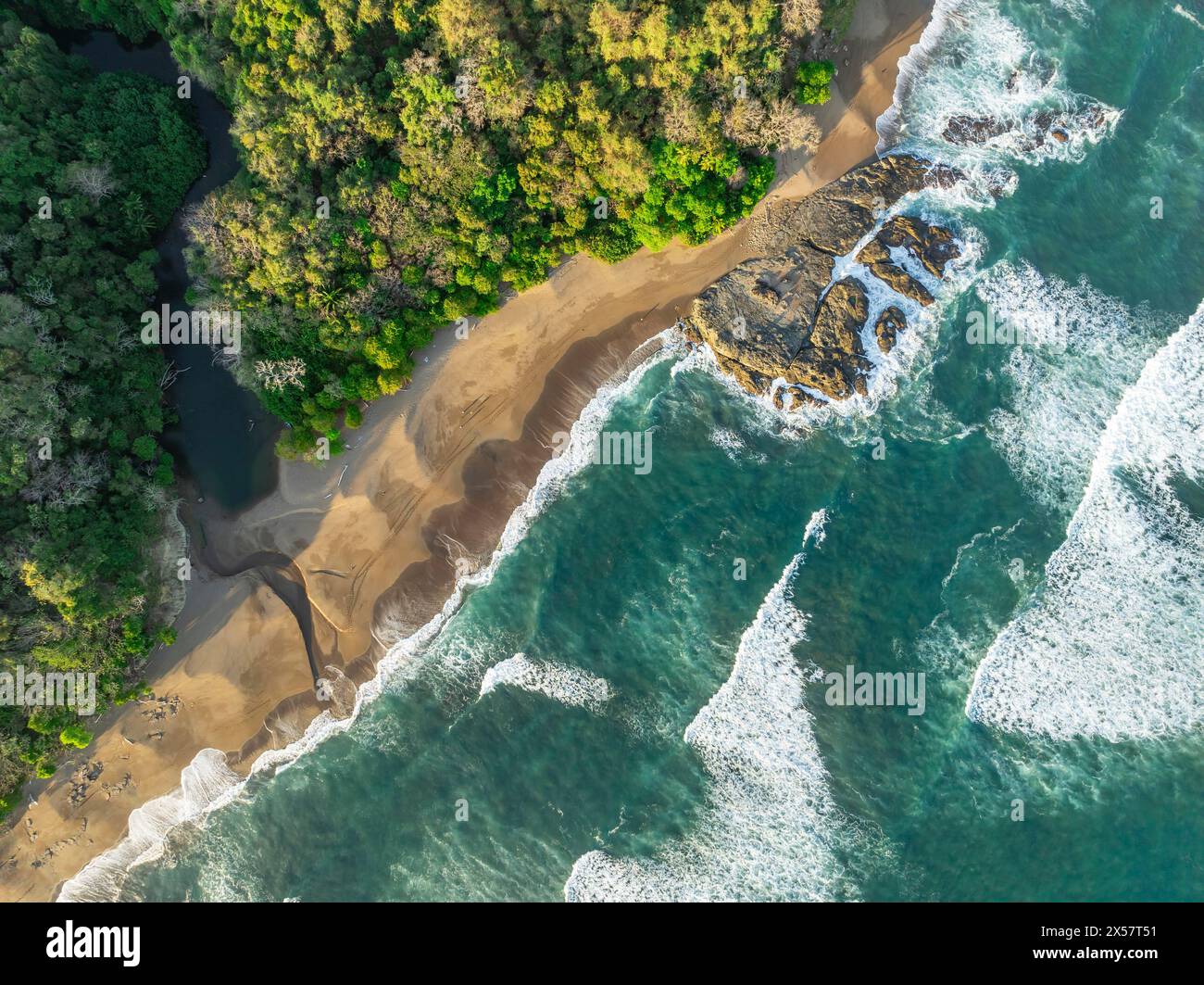 Aerial view, top-down, rainforest, sandy beach and coast with waves ...
