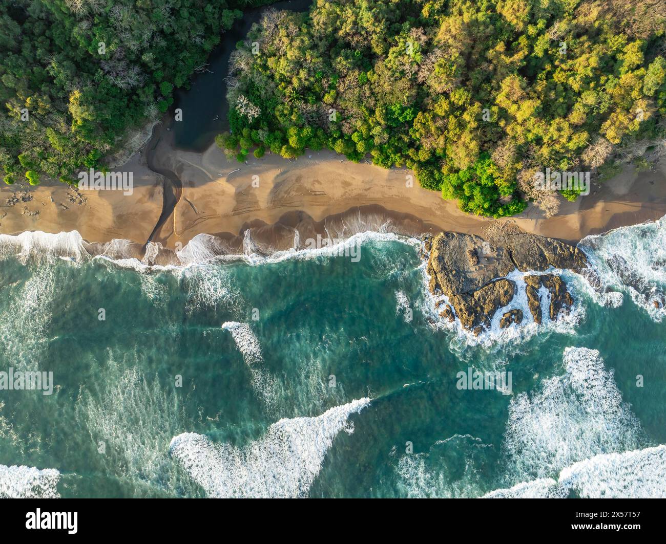 Aerial view, top-down, rainforest, sandy beach and coast with waves ...