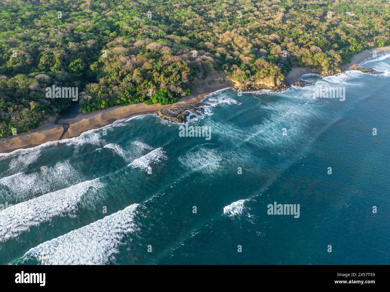 Aerial view, top-down, rainforest, sandy beach and coast with waves ...