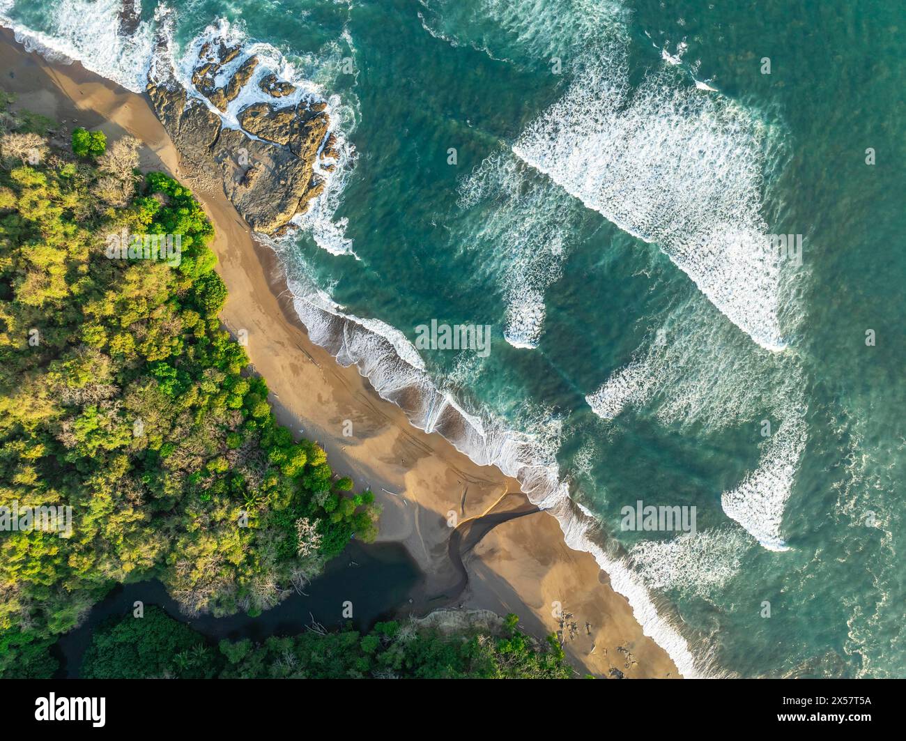 Aerial view, top-down, rainforest, sandy beach and coast with waves ...