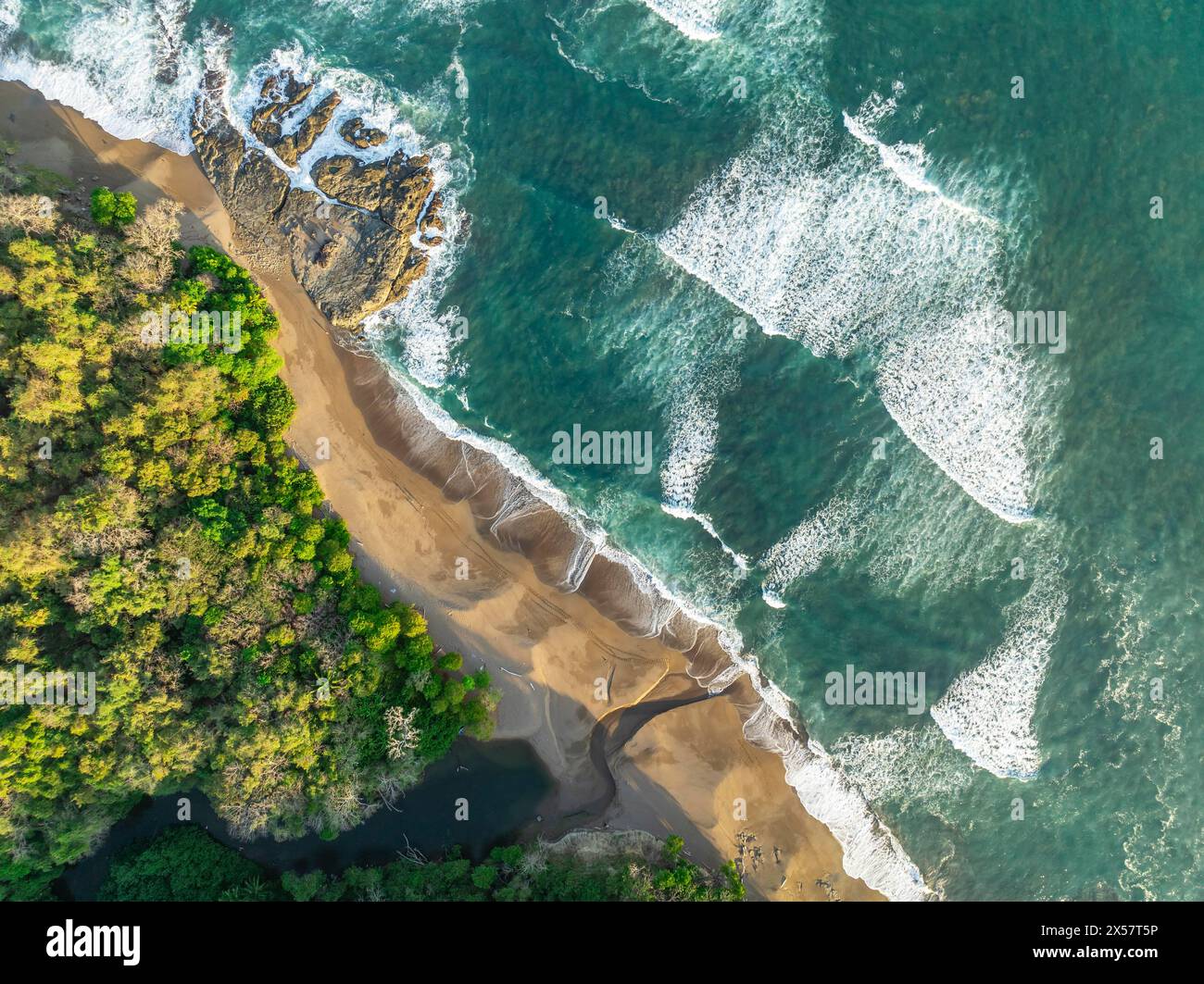 Aerial view, top-down, rainforest, sandy beach and coast with waves ...