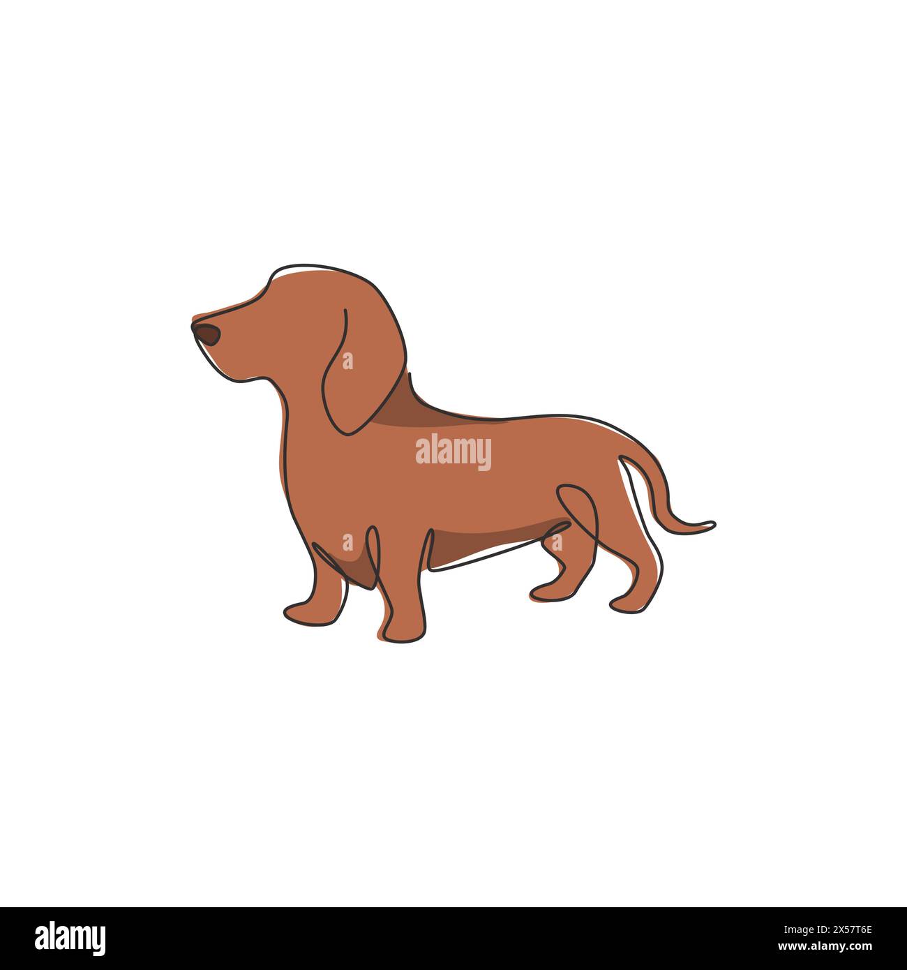 Single continuous line drawing of cute dachshund dog for logo identity ...
