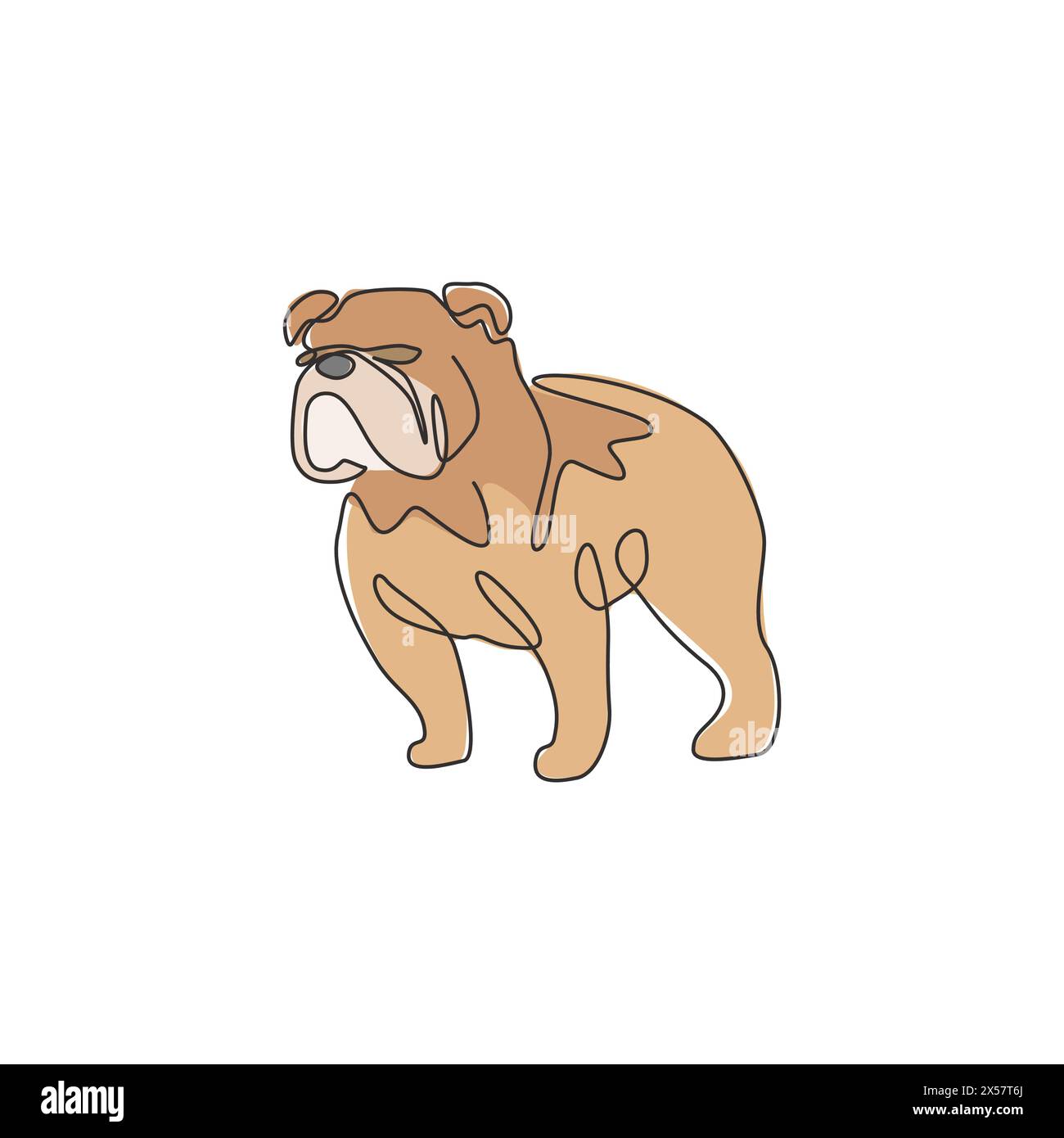 Dashing dog hi-res stock photography and images - Alamy