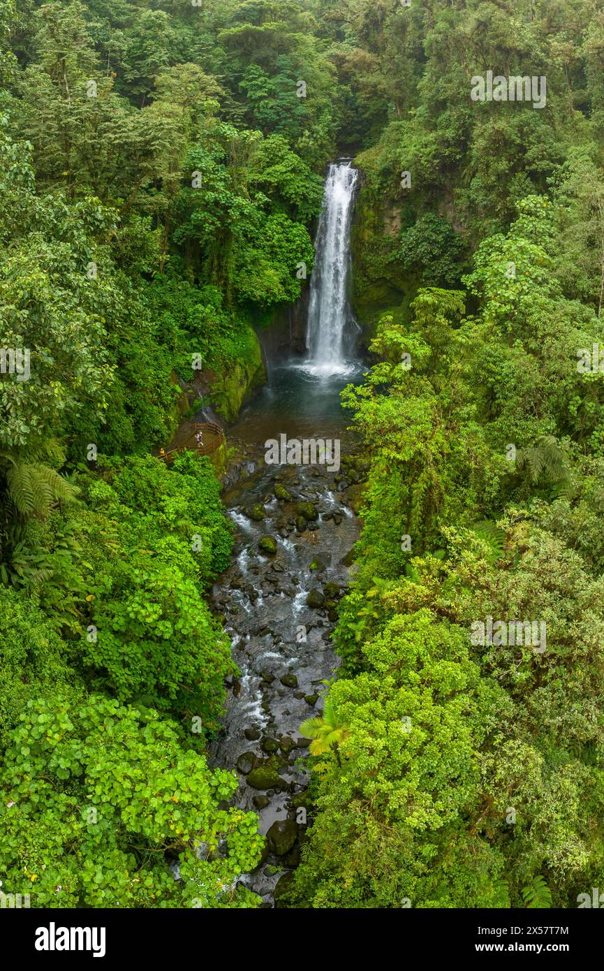 Aerial view, waterfall in the rainforest, Catarata de la Paz, La Paz Waterfall Gardens Nature ...