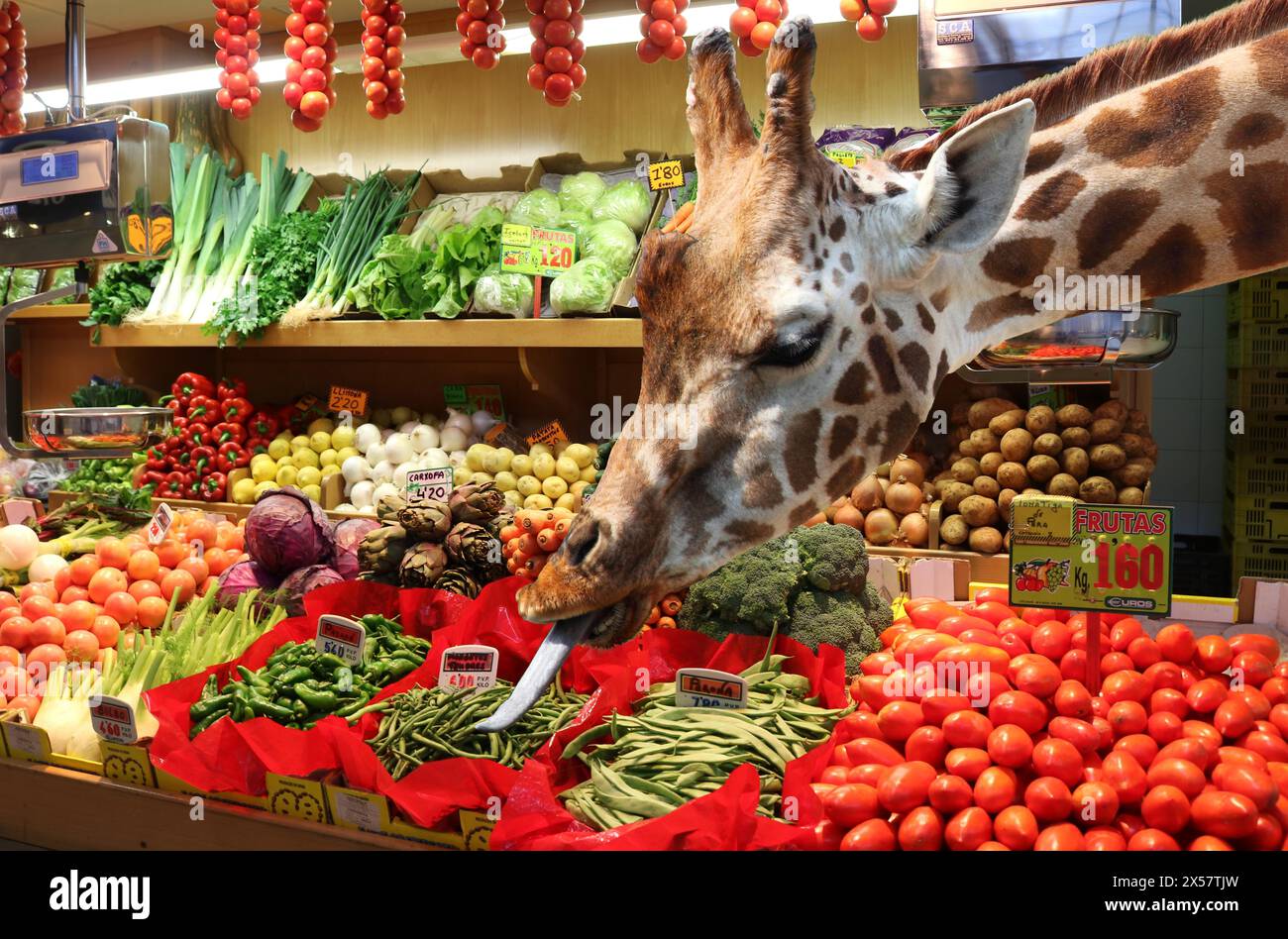 Humour photo, Giraffe helps himself at the vegetable stand ...