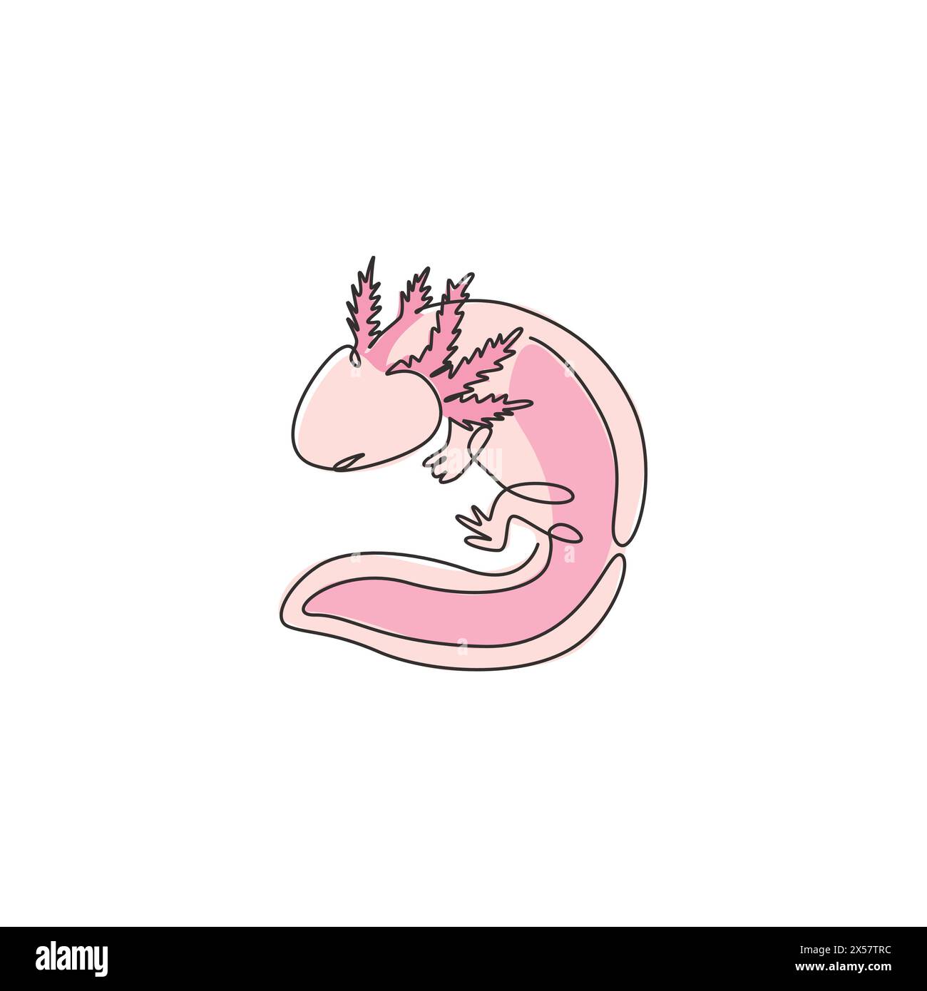 One continuous line drawing of cute axolotl for company logo identity ...