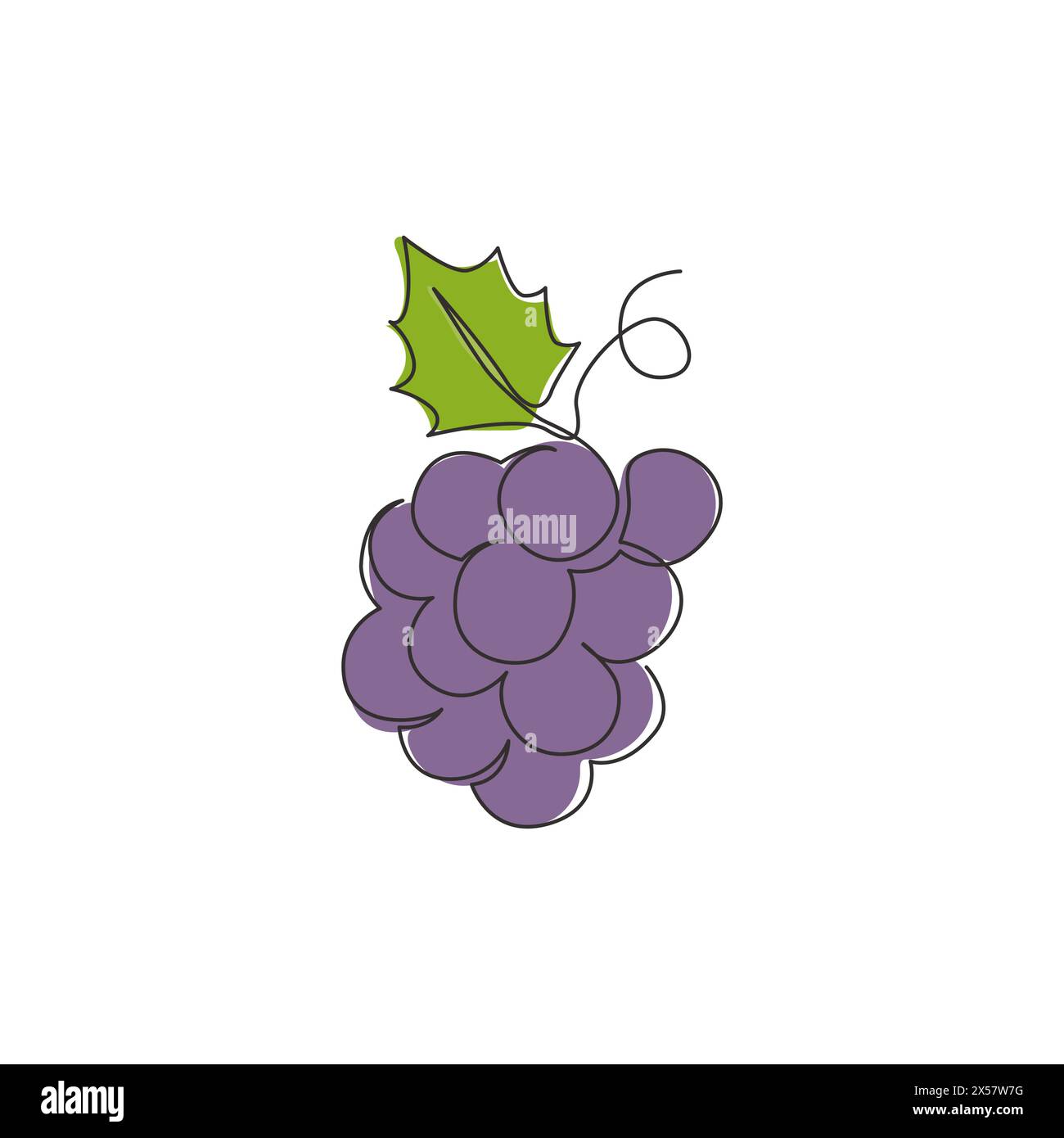 Single continuous line drawing healthy organic grapes for vineyard logo ...