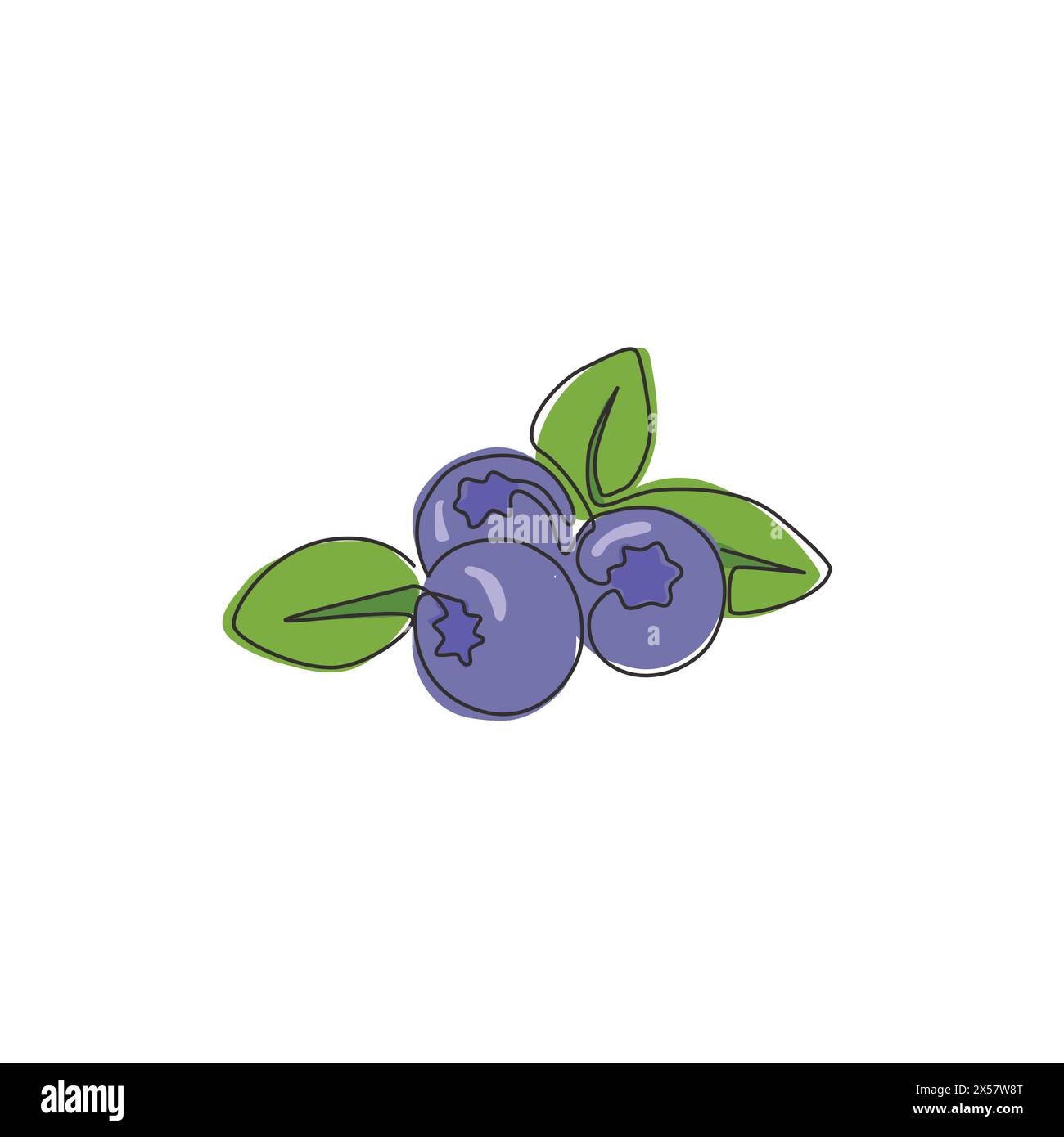 One blue blueberry Stock Vector Images - Alamy