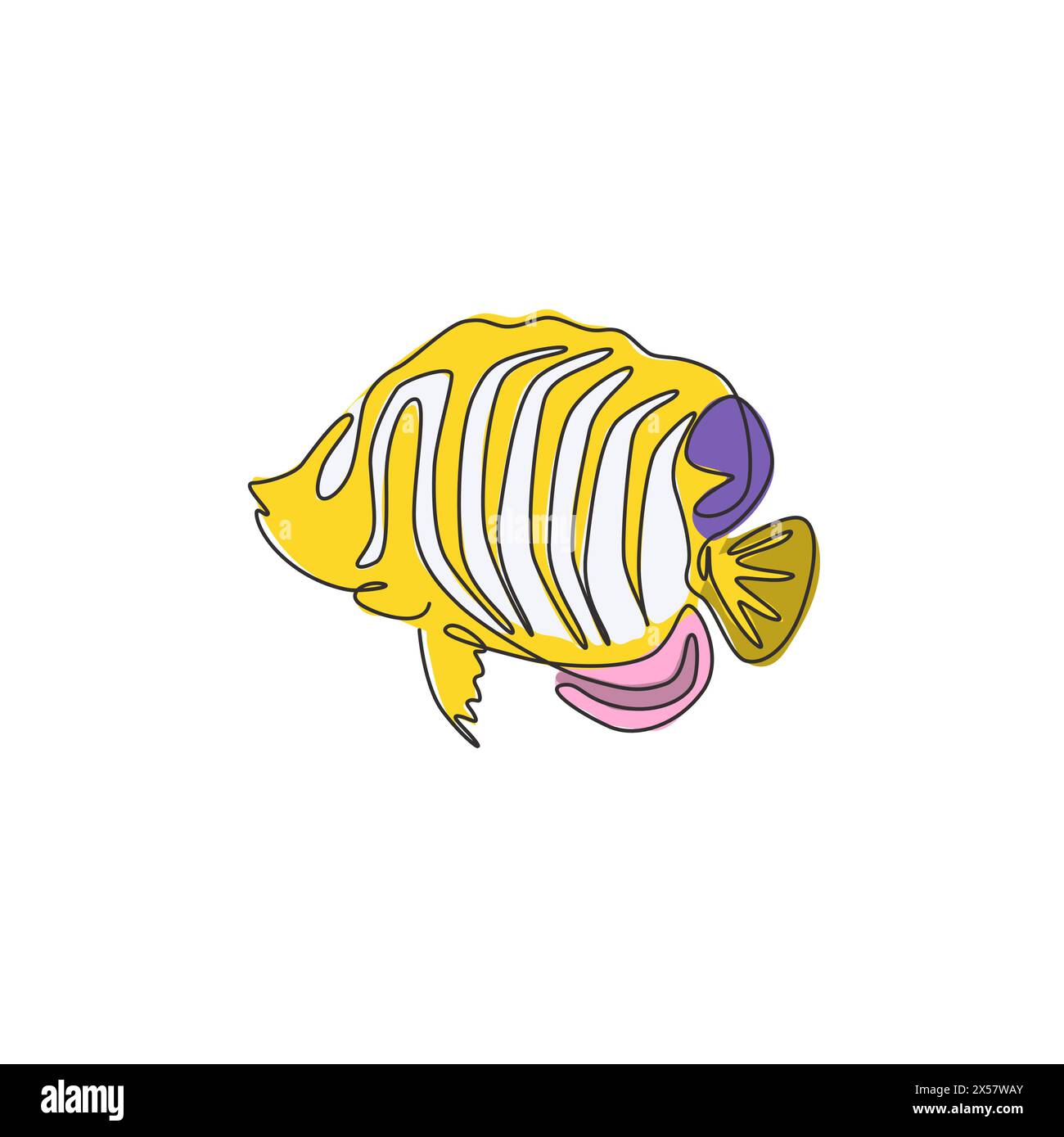 Emperor angelfish coral reef Stock Vector Images - Alamy