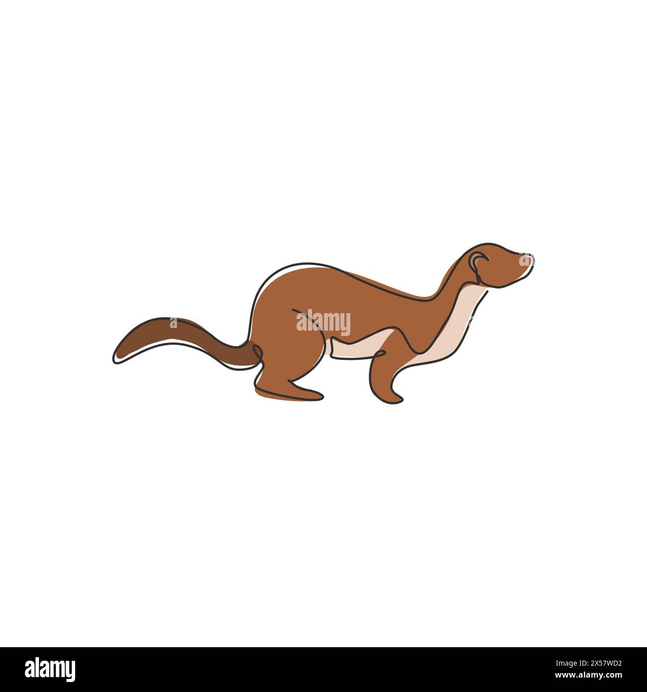 Чертеж weasel | Obrezka.com