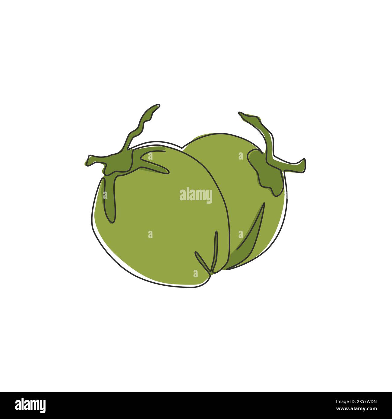 One continuous line drawing of whole healthy organic coconut for ...