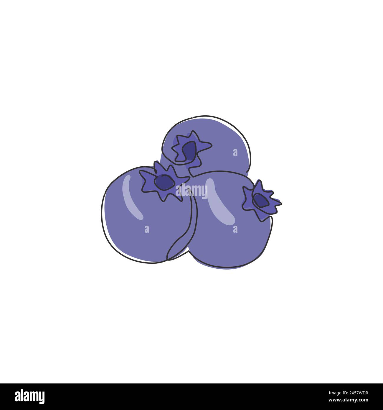 Single blue berry Stock Vector Images - Alamy