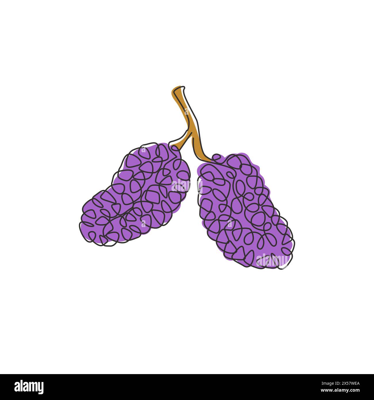 Mulberries isolated Stock Vector Images - Alamy