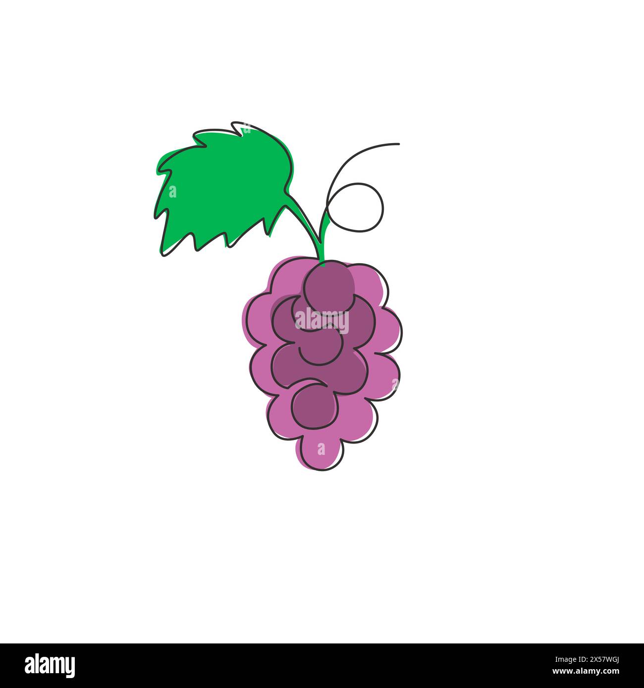 One continuous line drawing healthy organic grapes for vineyard logo ...