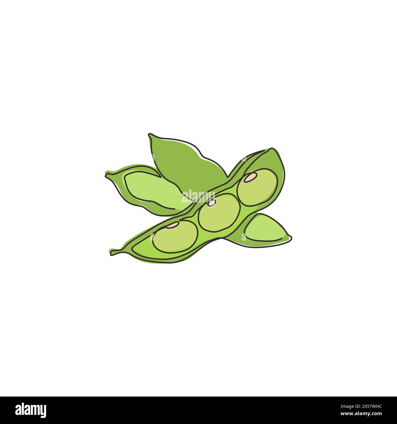 Edamame legume Stock Vector Images - Alamy