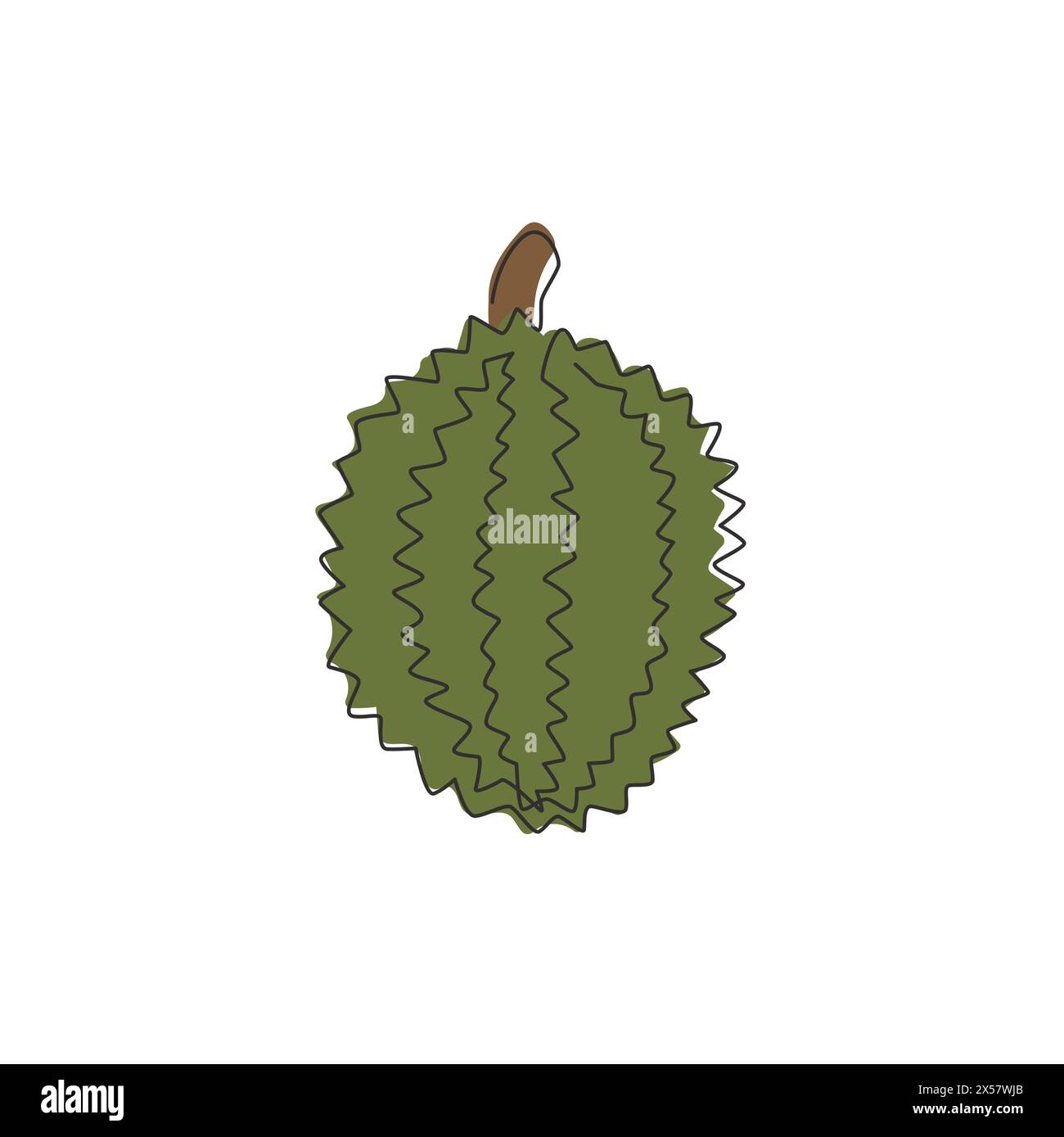 Durian line drawing hi-res stock photography and images - Alamy