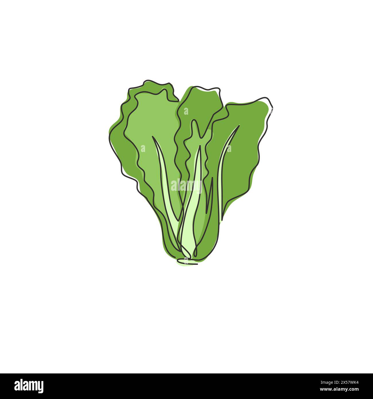 One single line drawing of whole healthy organic mustard green leaves ...
