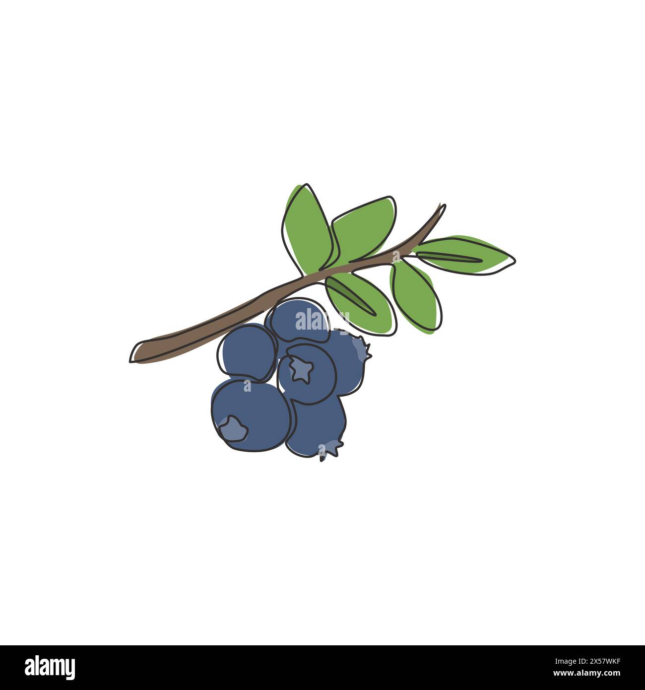 One continuous line drawing of whole healthy organic blueberries for ...