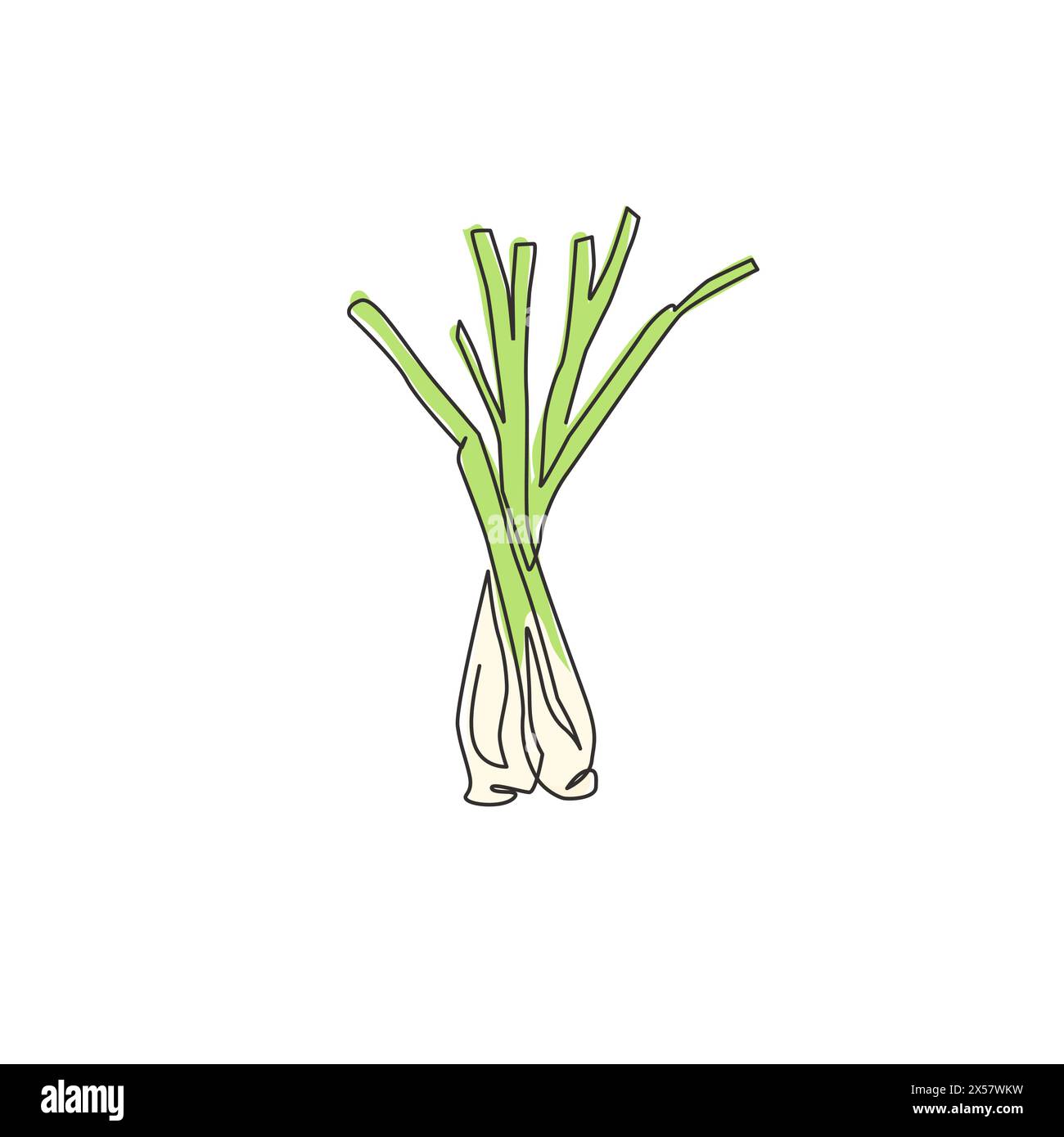 Single continuous line drawing of whole healthy organic lemongrass for ...