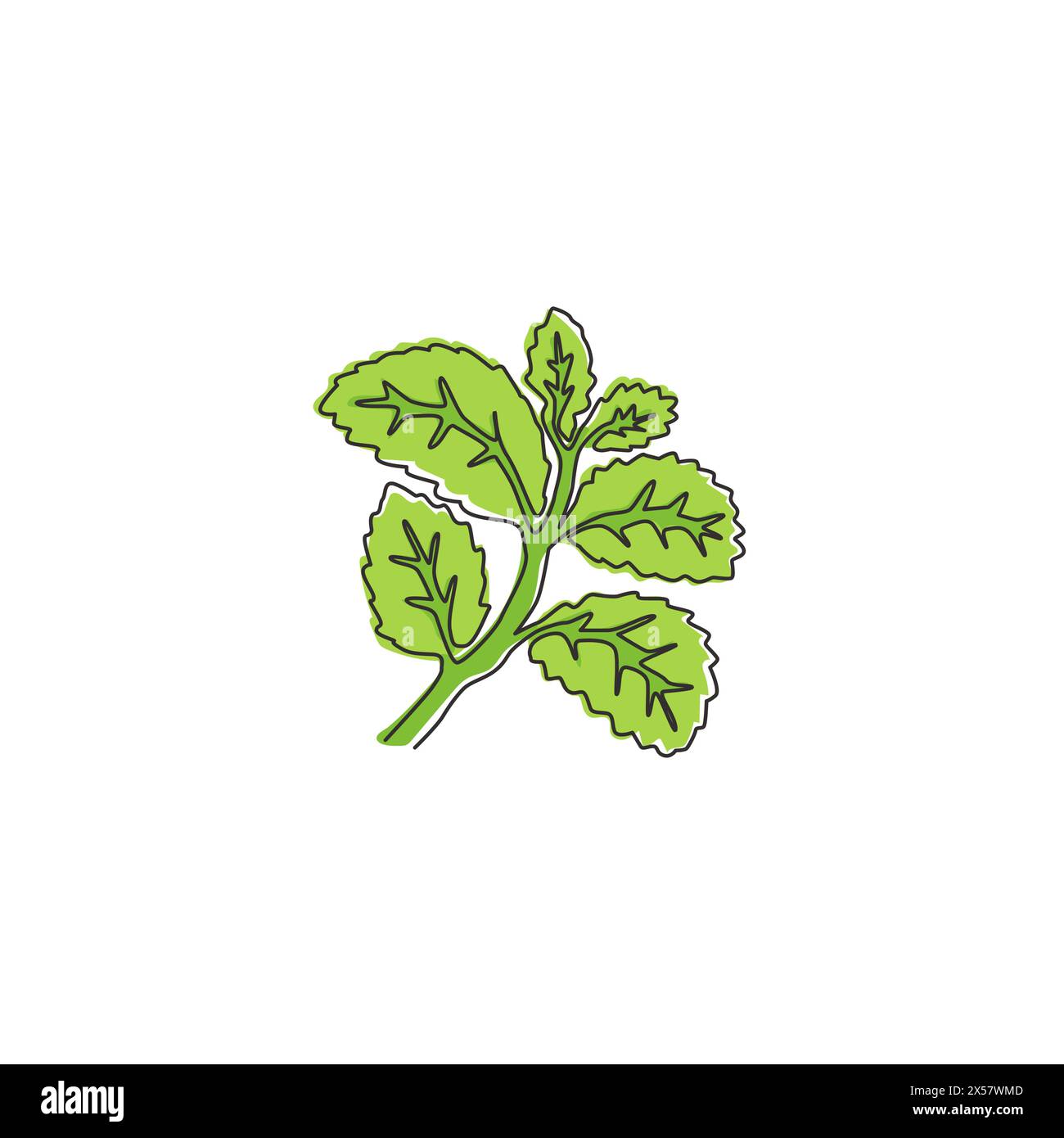 One continuous line drawing of healthy organic mint leaves for farm ...