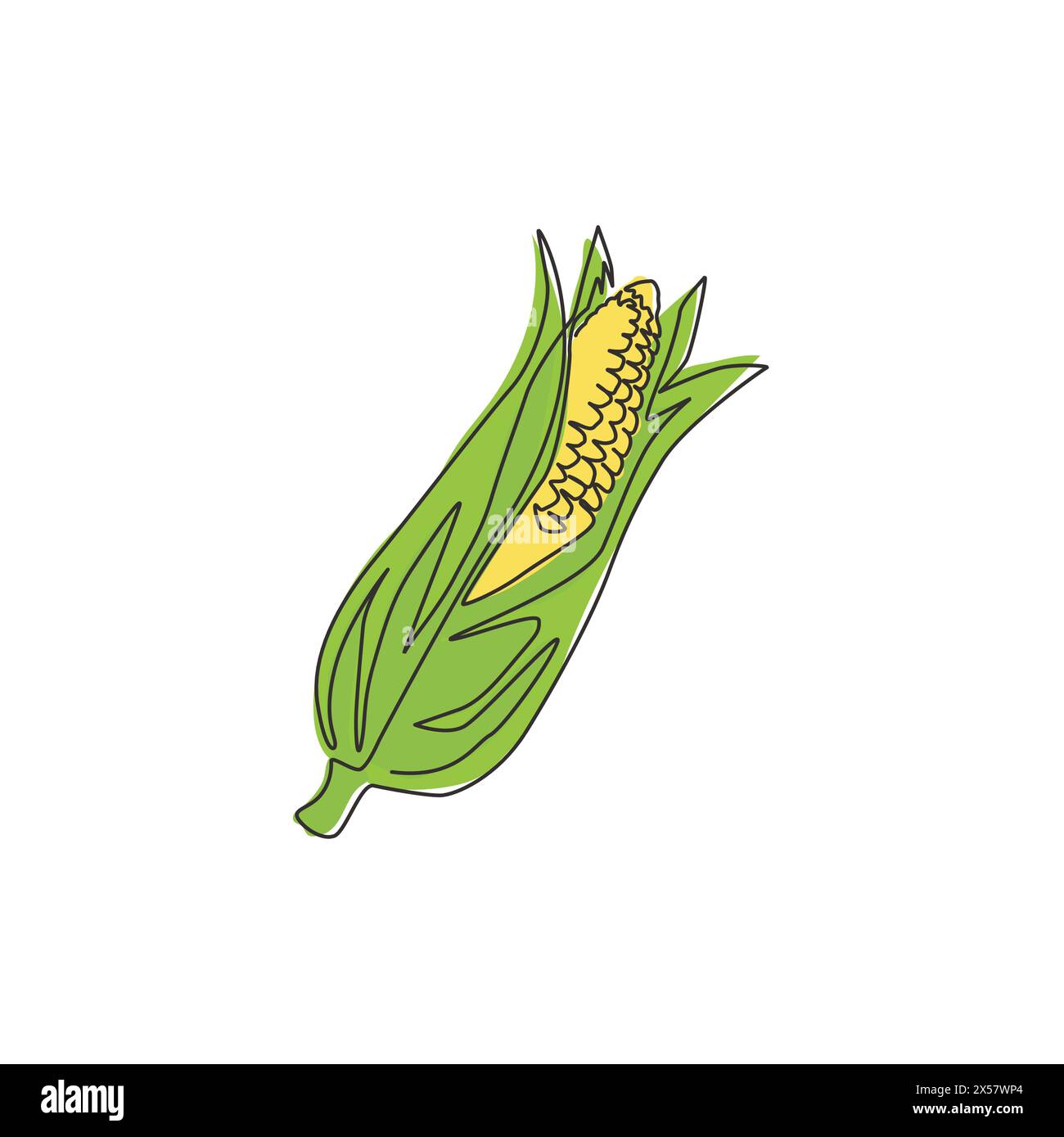 One single line drawing of whole healthy organic corn crop for farm ...