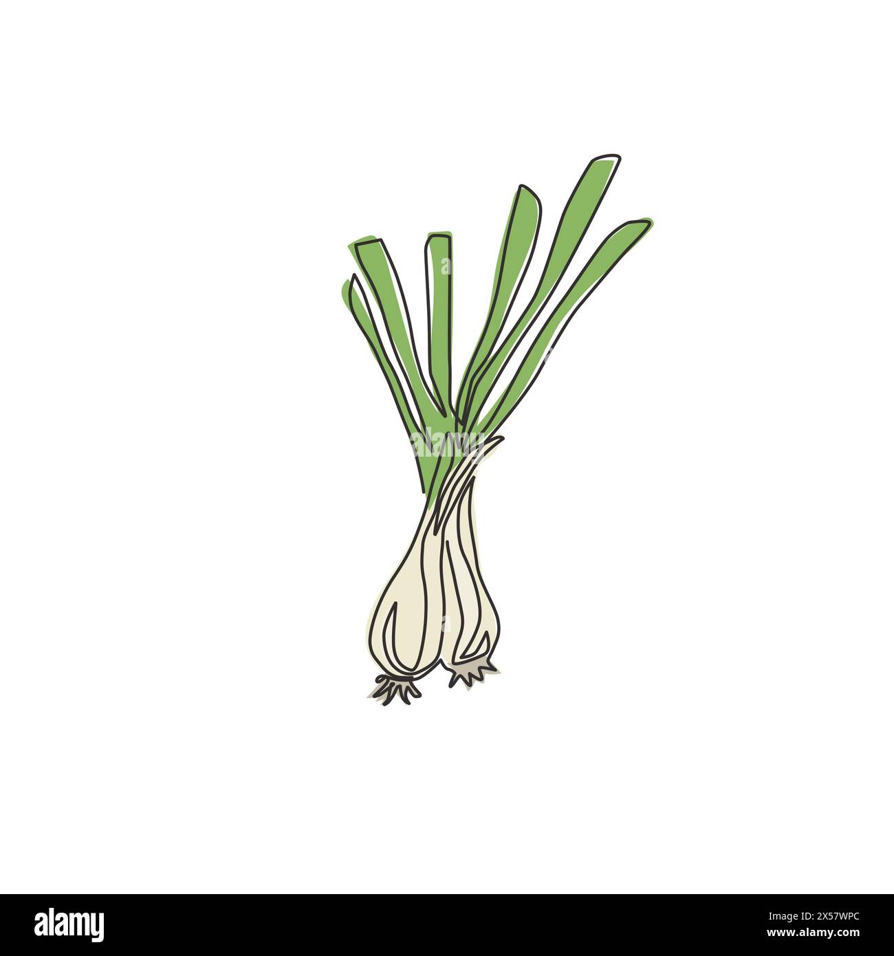 One single line drawing of whole healthy organic leek for plantation ...