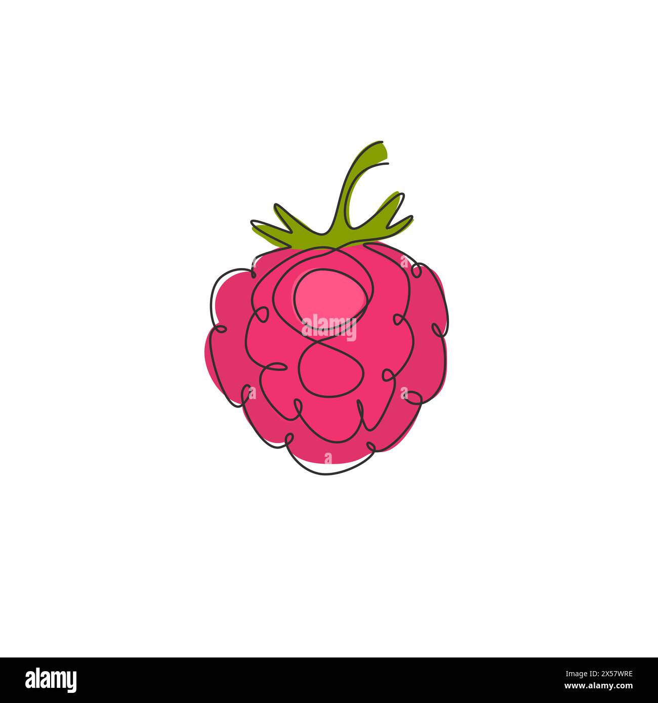 Raspberry plant drawing hi-res stock photography and images - Alamy